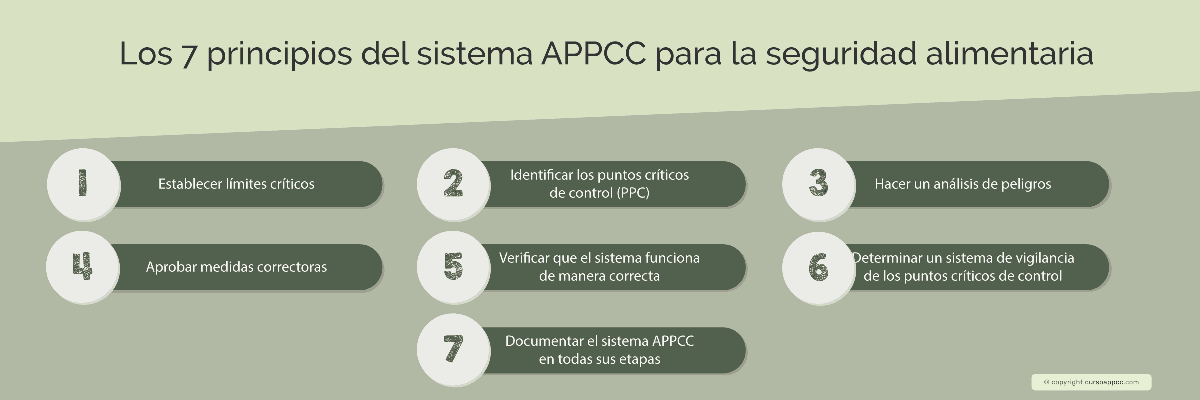 Los 7 principios del sistema APPCC para la seguridad alimentaria